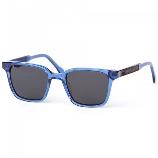 sunglasses Pitcha DOSKY transparent blue/ebony | Pitcha
